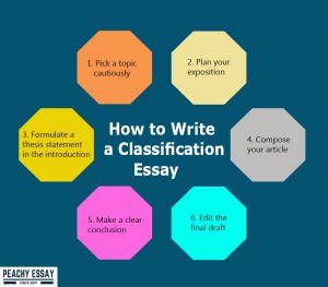 How to Write a Division Classification Essay - Useful Guide